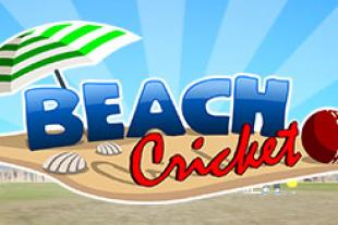 Beach Cricket - For the cricket enthusiast, the game can be adapted to ...